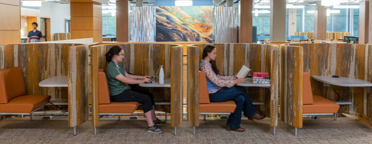 Why Students Choose POD as Their First Choice for Library Study - Agati ...
